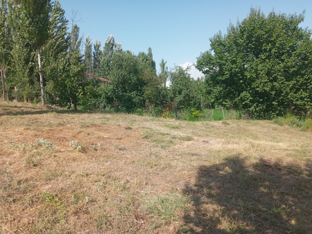 Uchaska sotiladi Parkentan