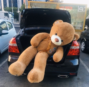 TEDDY 1+1 Teddi Optom Narx