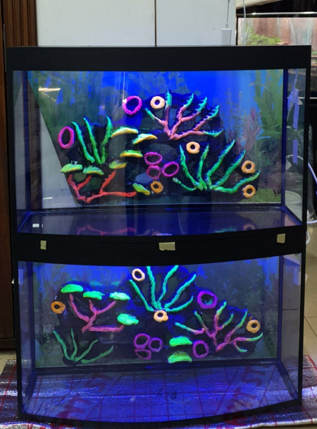 Akvarium 20 litrdan 100 litrgacha