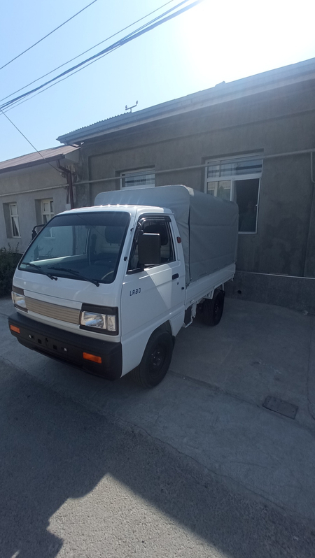 Damas laboga egma tent