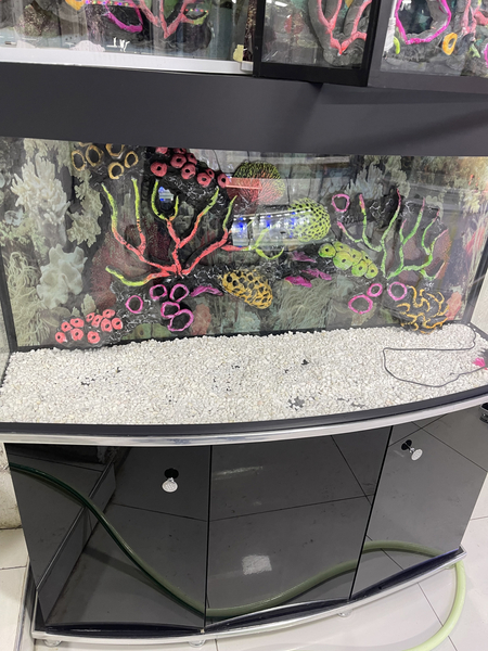 Akvarium yengi 250 litr