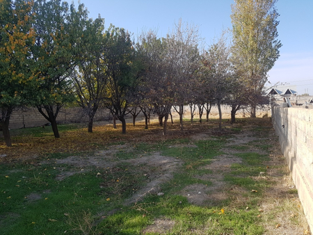 Yangi yo'l Qirariq maxalada 8 sotok uchaska