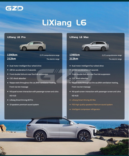 Li 6 Pro/ Max , 2024