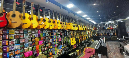 Акустические гитара Ibanez v50njp