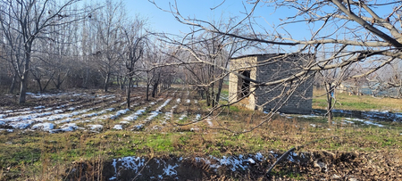 20 sotxli  uchastka bog' qilingan