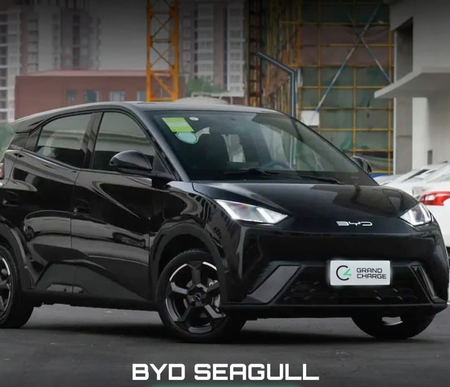 BYD Seagull flying full version 2024