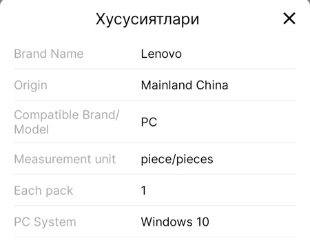 Fleshka, Xotira chip,