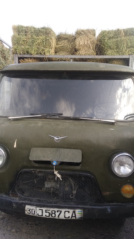uaz yul tanlamas