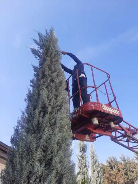 Gazon gazon ekish dorilash xizmati