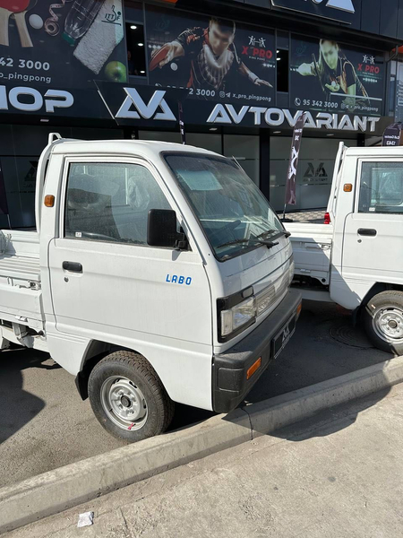 Damas labo oq 2024