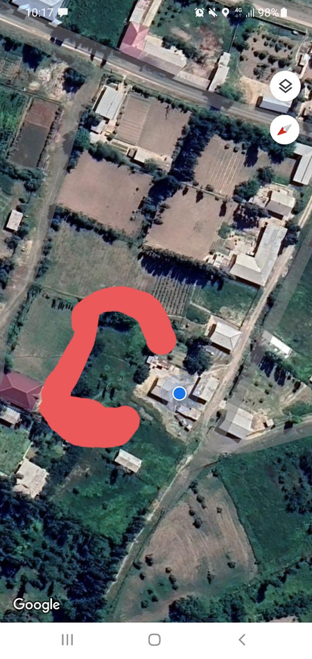 Uchaska sotiladi Parkentan