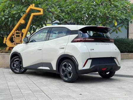 Byd Seagul Halol Nasiyaga