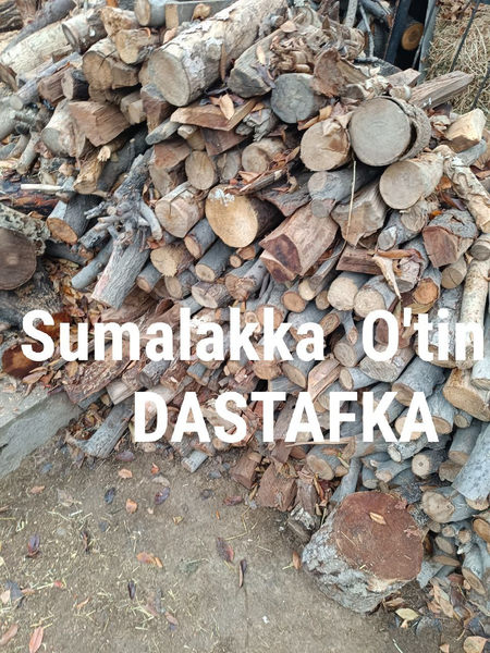 Sumalak uchun quruq oʻtin