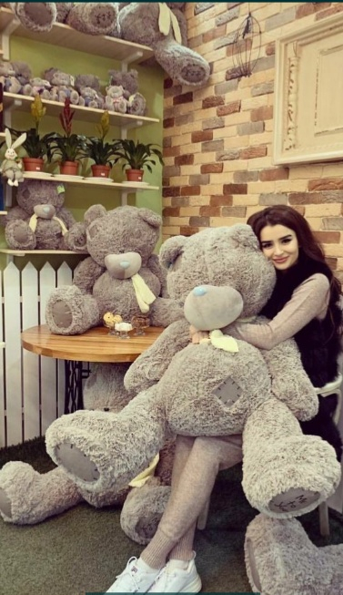 TEDDY 1+1 Teddi Optom Narx