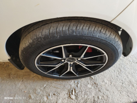 Sakadiska vossen R 15