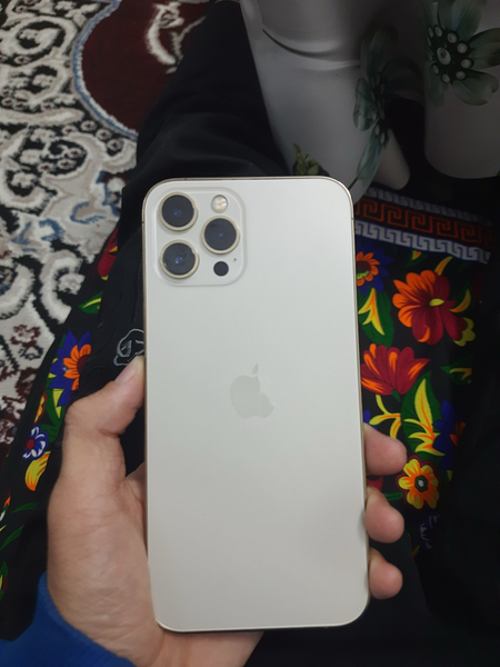 iPhone 12 pro max