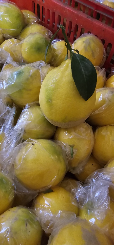 Limon optomga bog'imizdan.