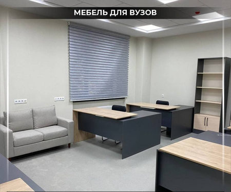 Мебель на заказ государственный и частный школ. Письменный стол .полка