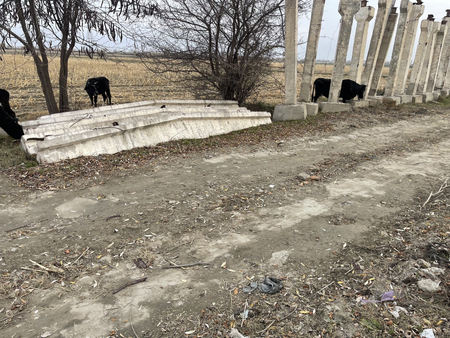 Битон балкалар сотилади камплект хамма нарсаси бор чашка стойка