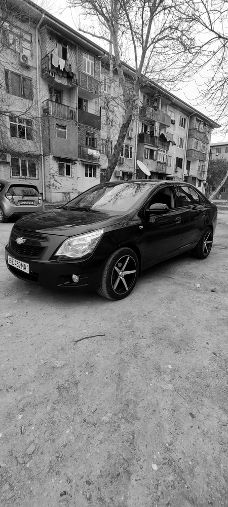 Vossen R 17  saka diska baloni bn