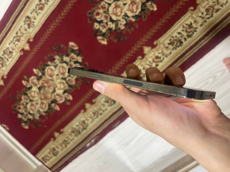 iPhone 12 pro max