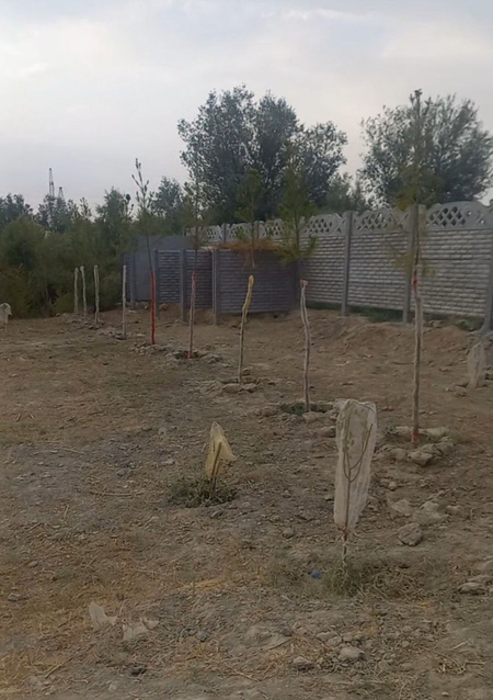 Даса грес срочна