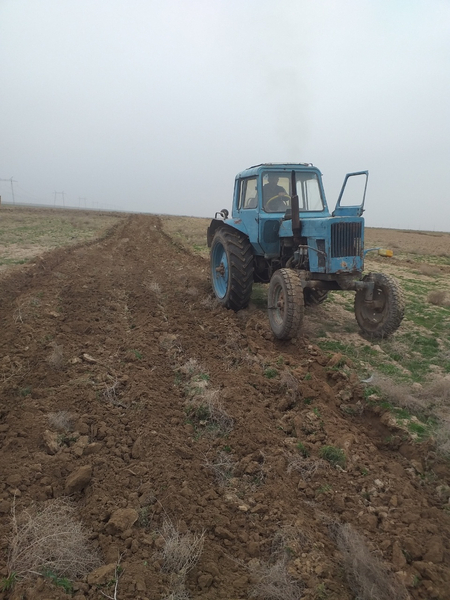 MTZ 80 19XX Holati yaxshi