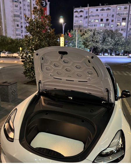 Tesla model 3 standard plus