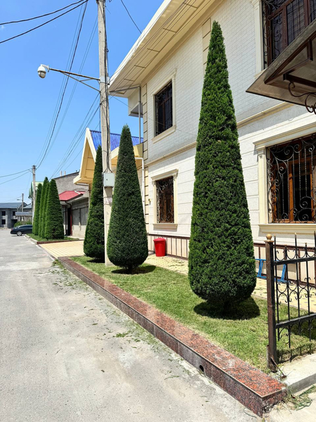 Xar xil turdagi archalarni kesib dorilab beramiz
