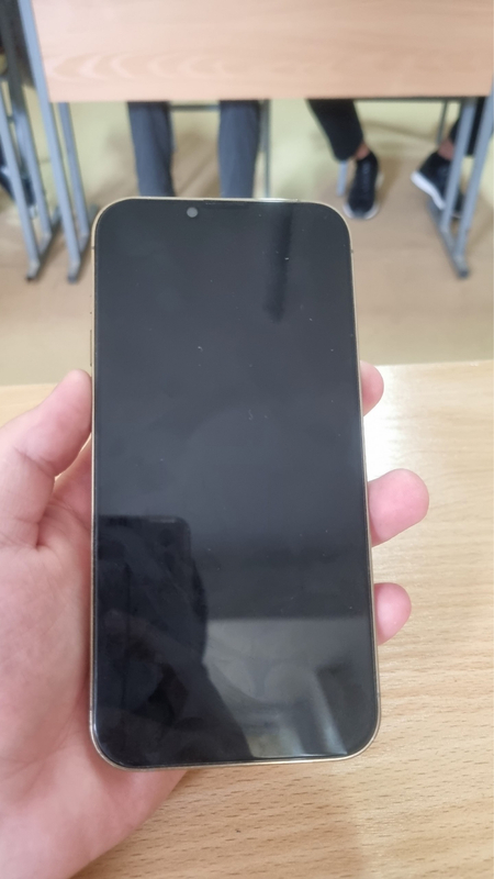 Iphone 13 pro max