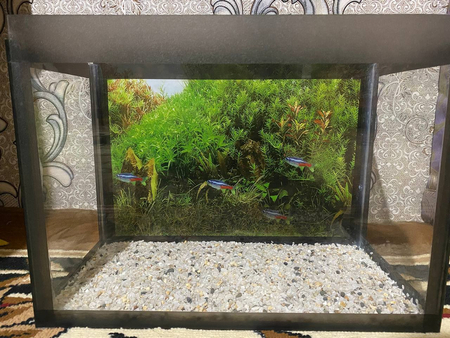 Akvarium sotiladi