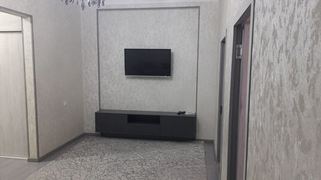 Паркентский 2/3/9 (55м2)