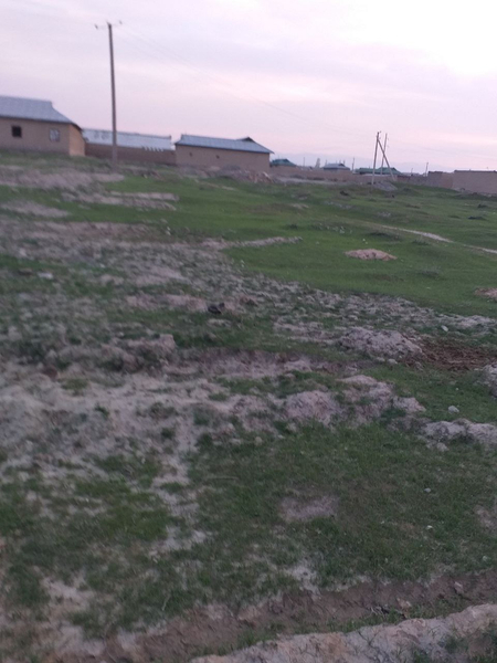 ZOMINDA Srochna. Yer sotiladi