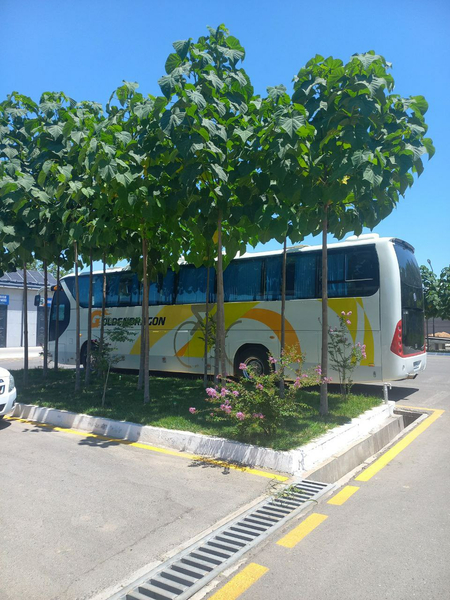 Golden Dragon XML6127E