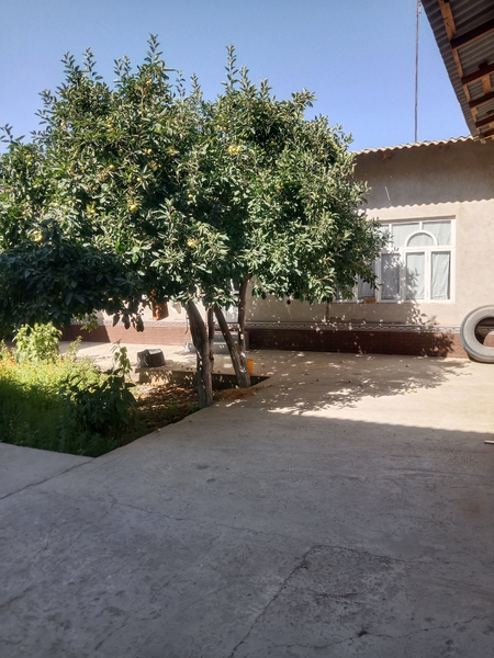 4 sotiqlik uchastka tayyor bitgan srochne sotiladi