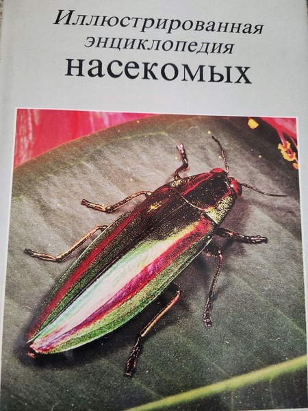 Книги для школьников