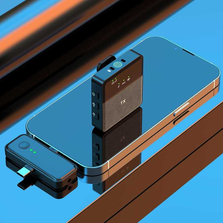 Микрофон SX31 2шт