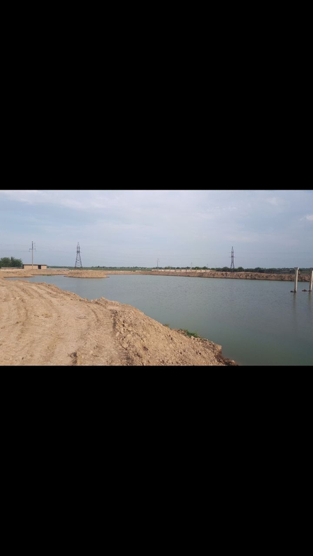 Baliq boqish joyi rephoz