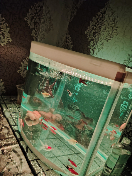 Yangi akvarium 40Litr komplekt