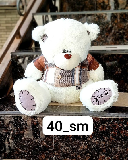 Teddy ayiglarmiz