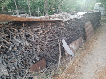 O'tin mevali daraxt o'tini tayyor