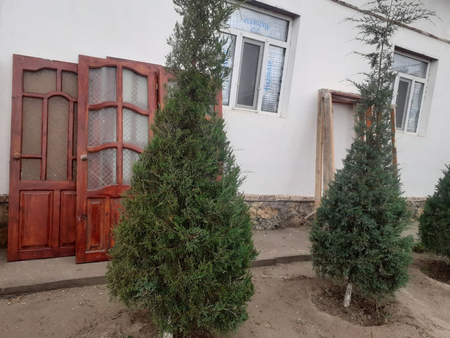 Satiladi esikler