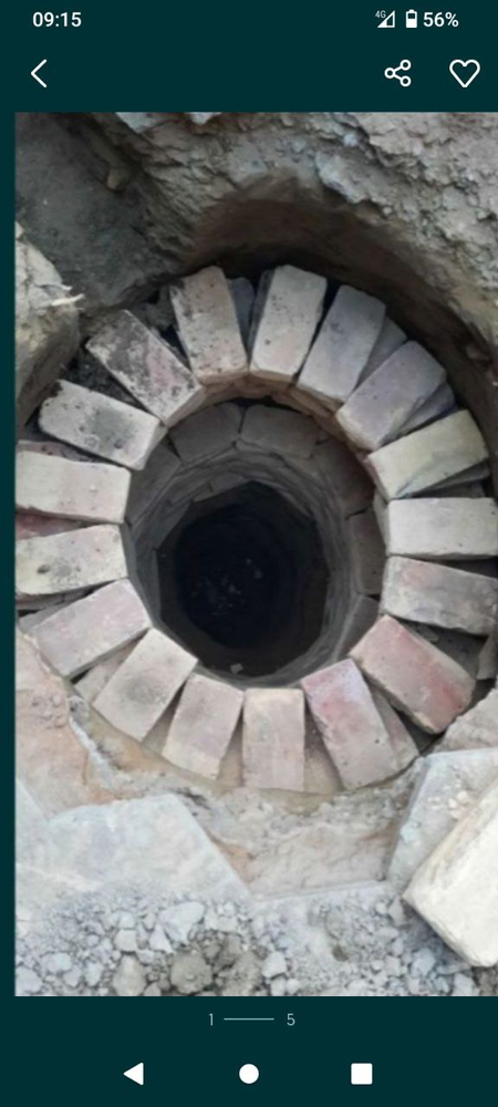 Koʻza kalodis qozamiz tez va arzon narxda murojat uchun   tel : +99893