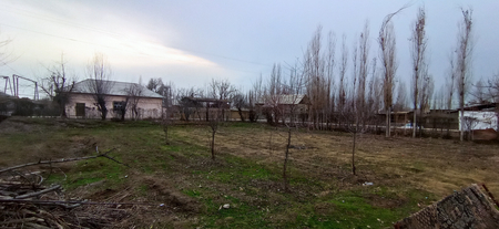 Faqat nahtga sotiladi