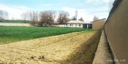 Yuqorichirchiqda hovli sotiladi 100 mol va quyga muljalangan molxona b