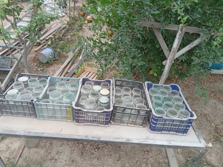 Banka 1 litr - 27 ta. 0,75 litr - 40 ta. 0,5 lirt - 14 ta,