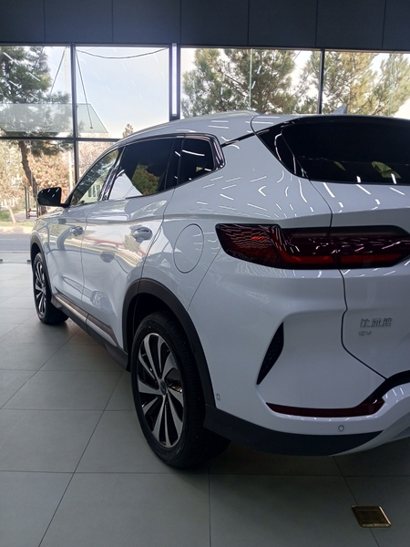 Byd song Champion 2024