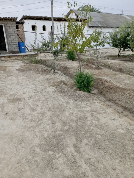 Янгюльский район.Саховат мфй