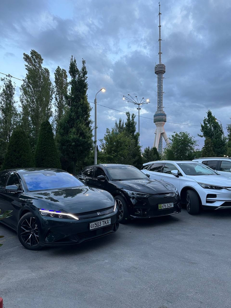 Rent a Car / Byd, Mustang, Volkswagen