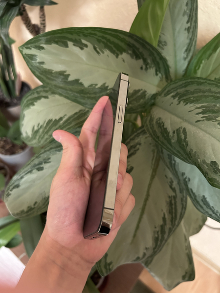 iPhone 13 Pro